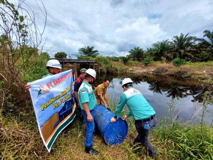 Tepat Setahun Beroperasi, PT Anderson Unedo Tabur 7500 Benih Ikan di ...